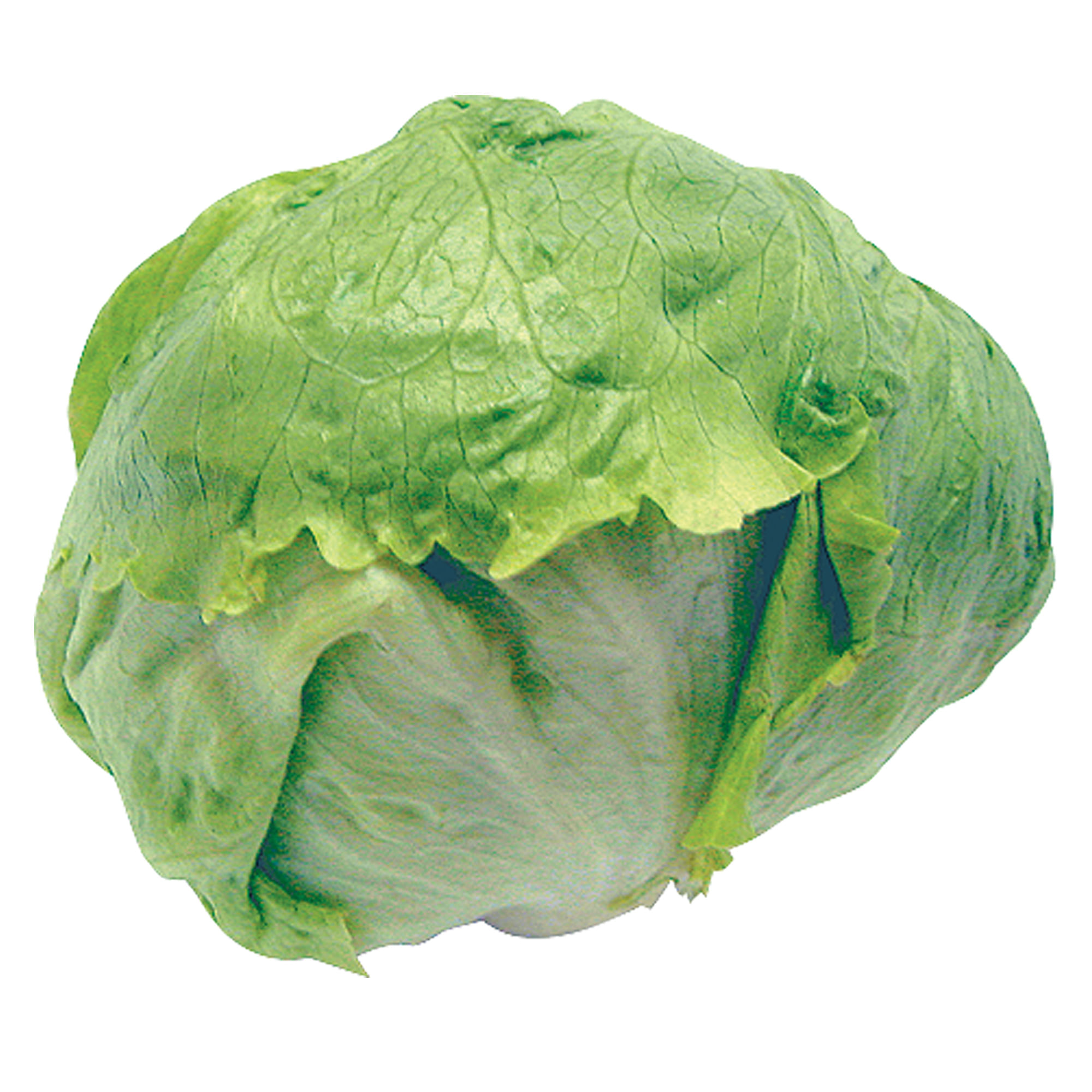 Lechuga Bola S/Marca 1.0 - Pza