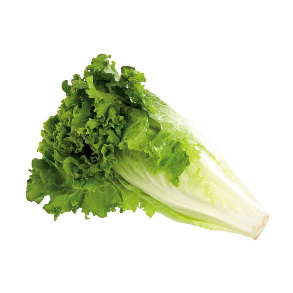 Lechuga Italiana S/Marca 1.0 - Pza