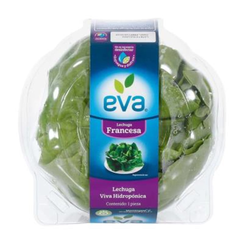 Lechuga Francesa Eva Clam 1.0 - Pza