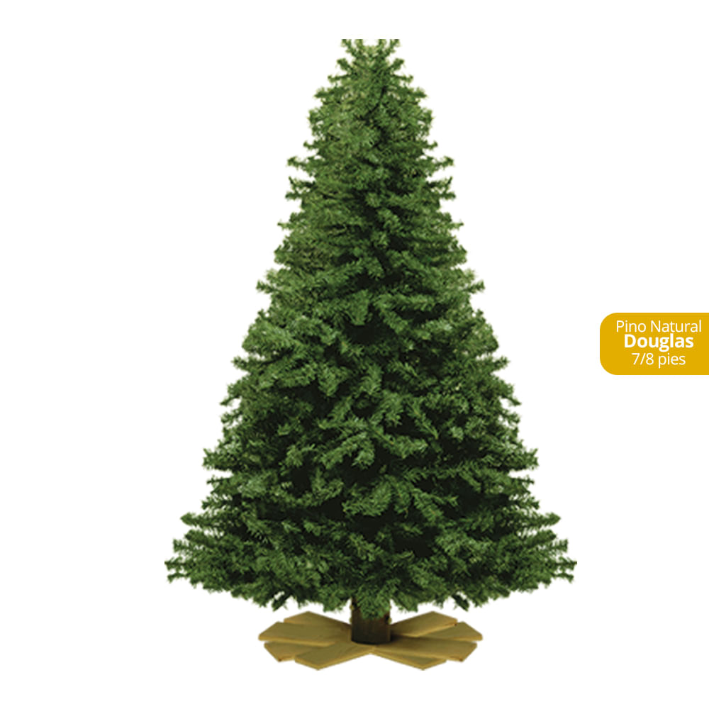 Arbol NavideÑO Natural Douglas 7/8 Pies Douglas