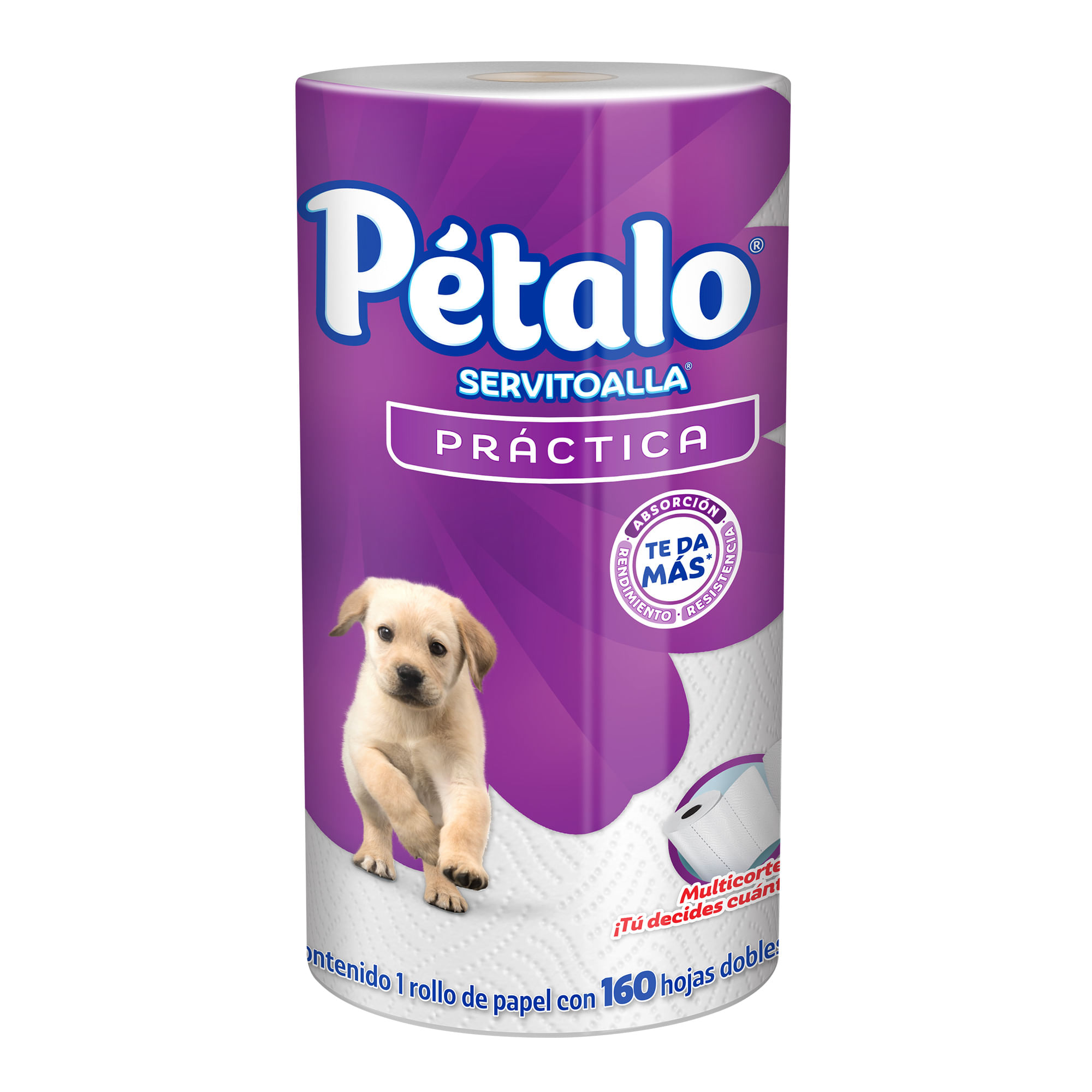 SERVITOALLA PETALO PRACTICA PETALO 1.0 - PZA